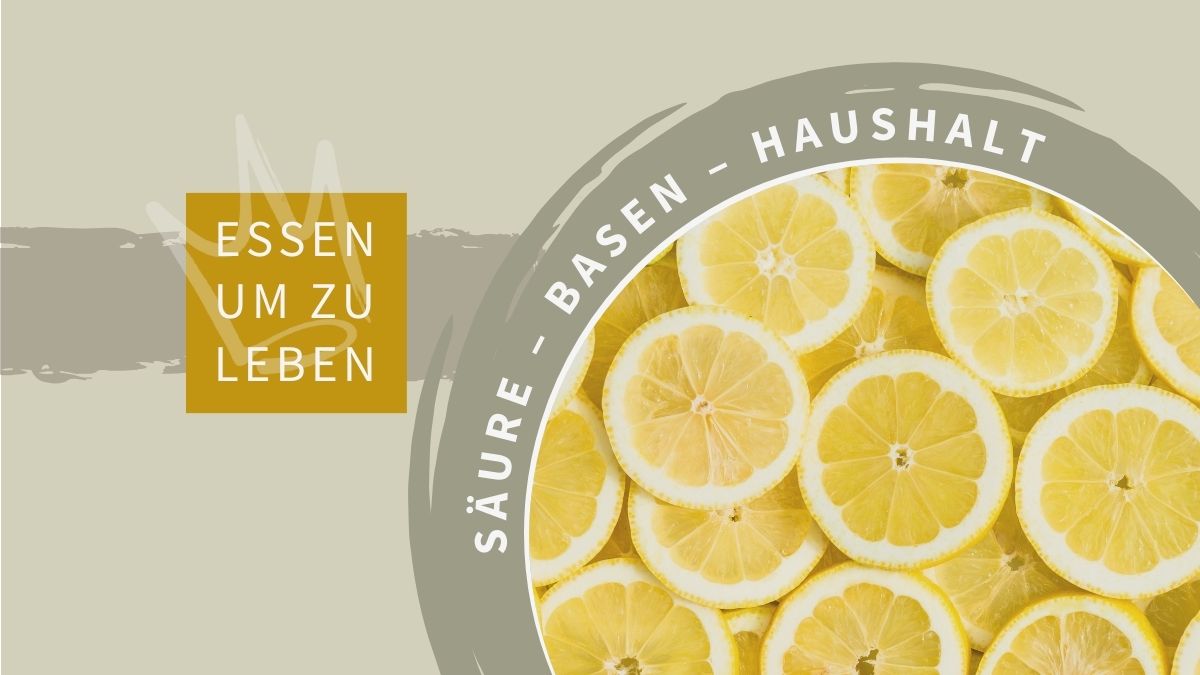 Deinen Säure – Basen – Haushalt verstehen - Ulrike Feldmann